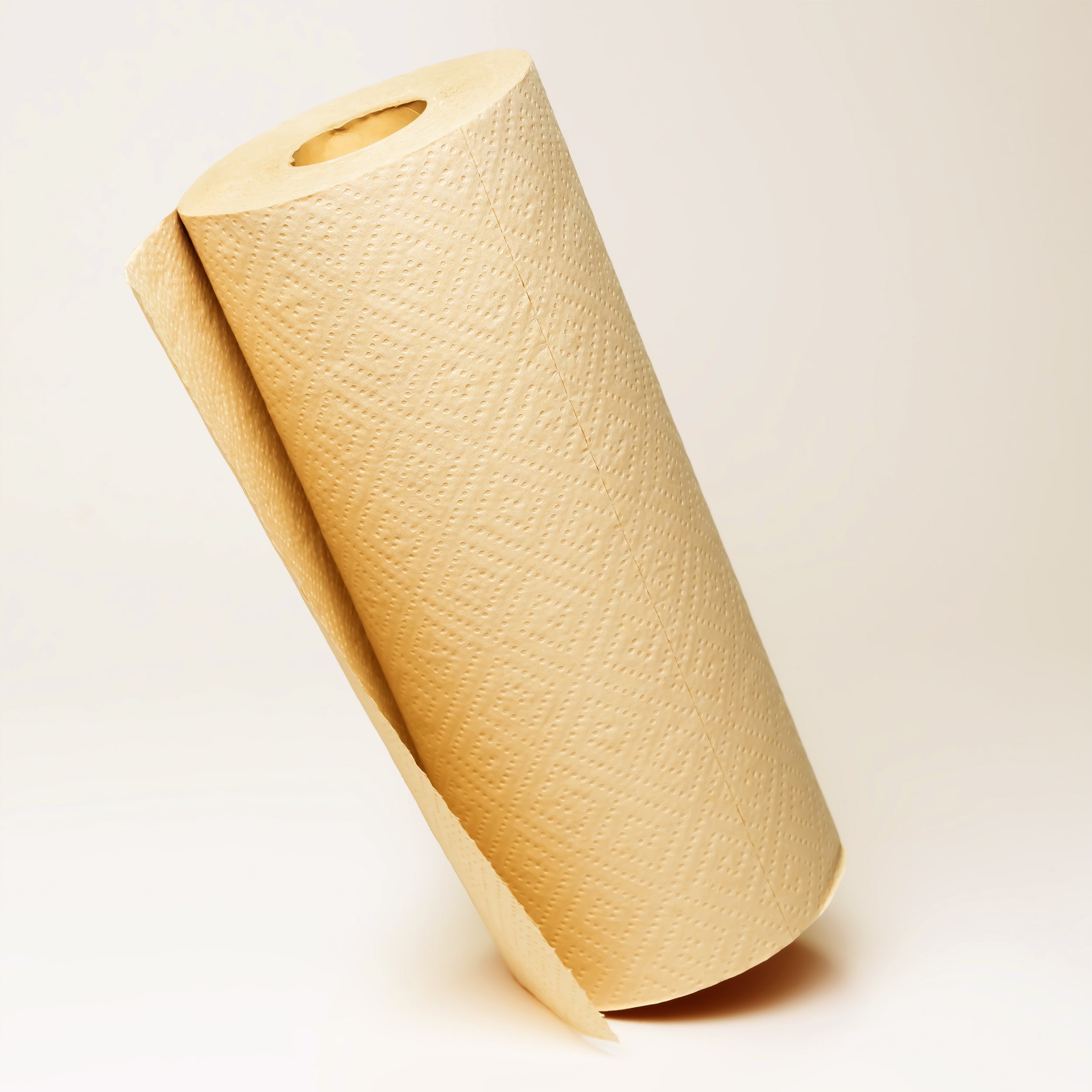 All Bamboo Paper Products – Rustic Strength