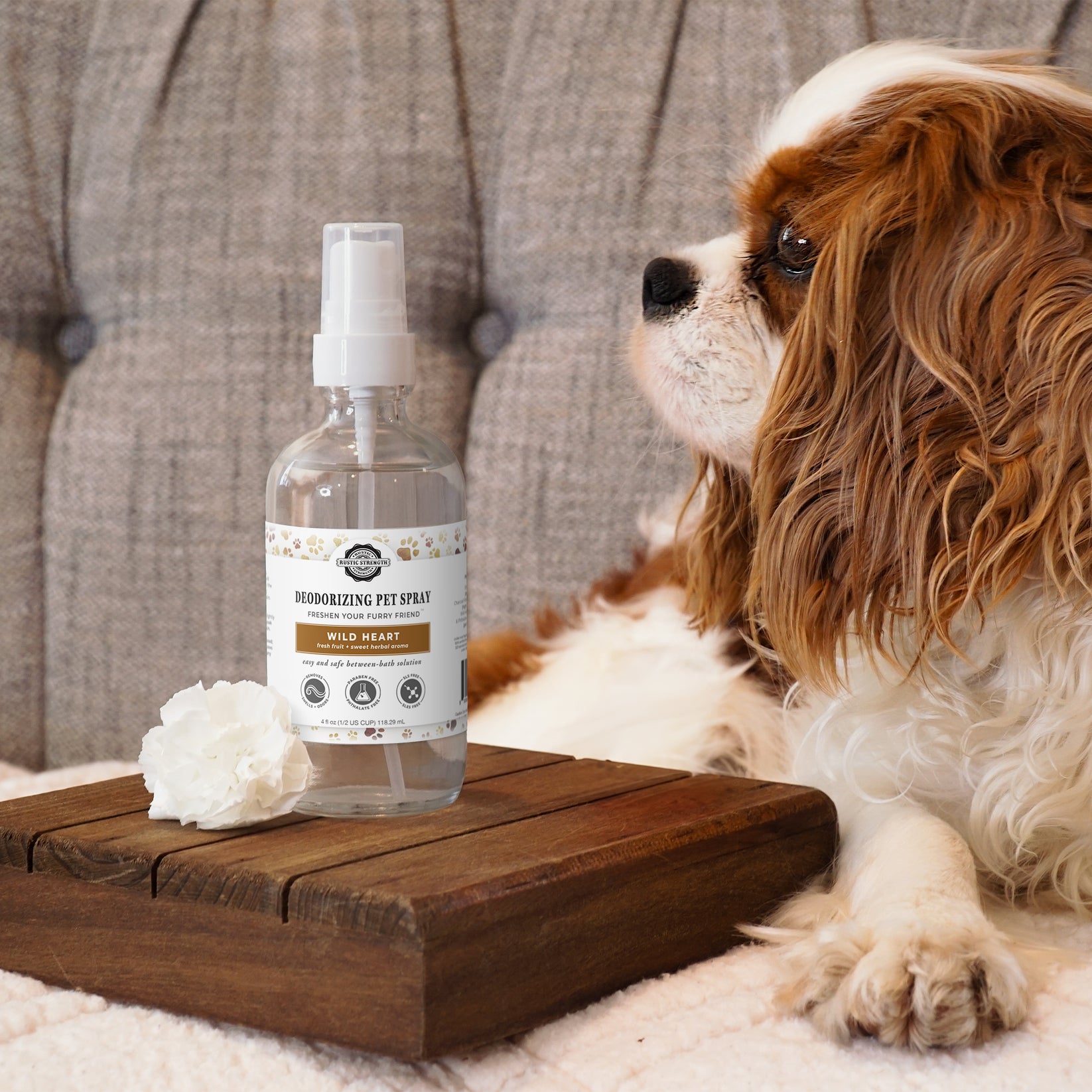 Deodorizing Pet Spray | The Between-Wash Wonder – Rustic Strength