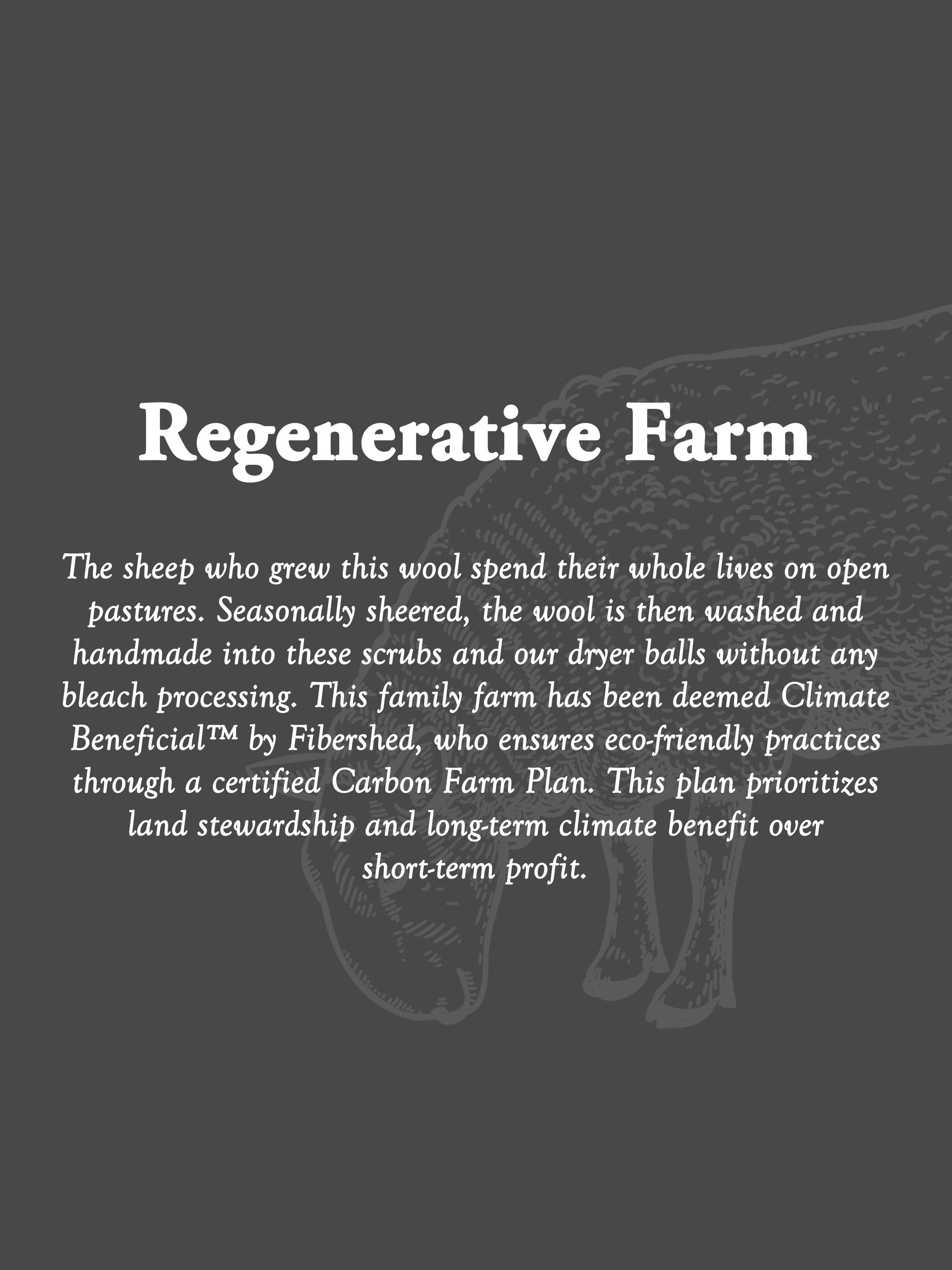 Sustainable Wool Scrub – Rustic Strength