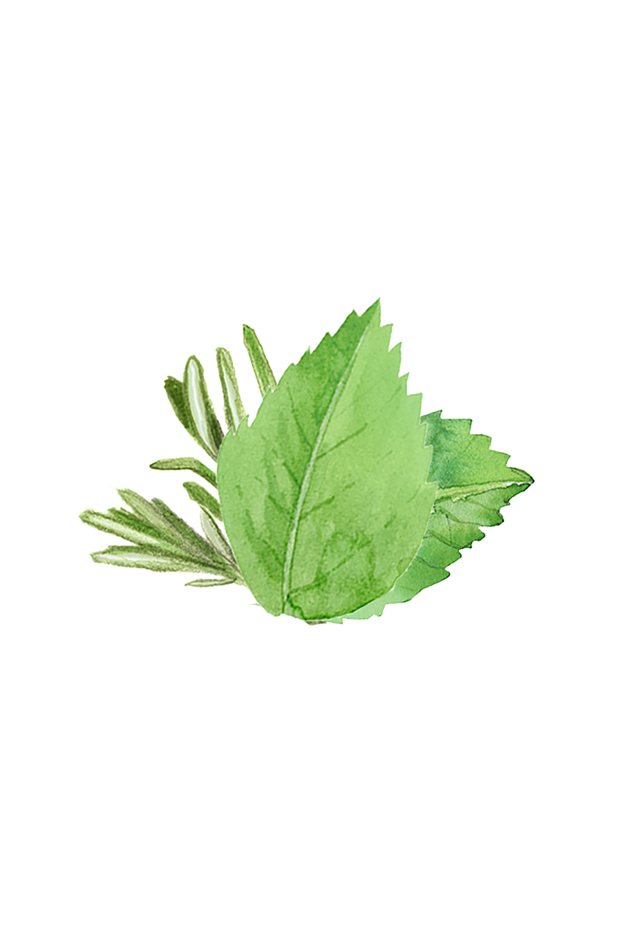 Truly Natural Laundry Detergent for the Most Sensitive Skin – Rustic ...